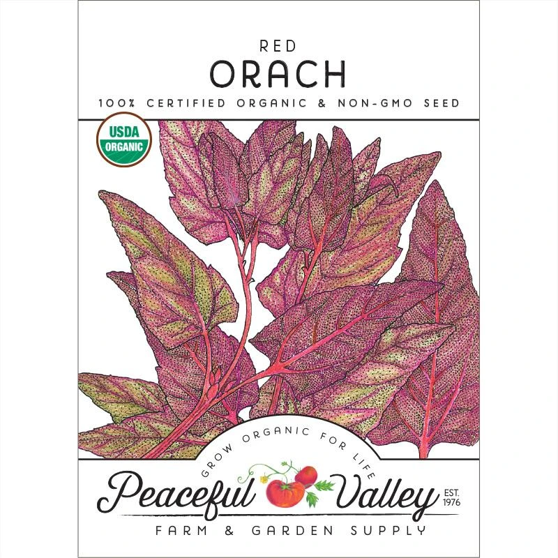 100% premium Red Orach Seeds (Organic)